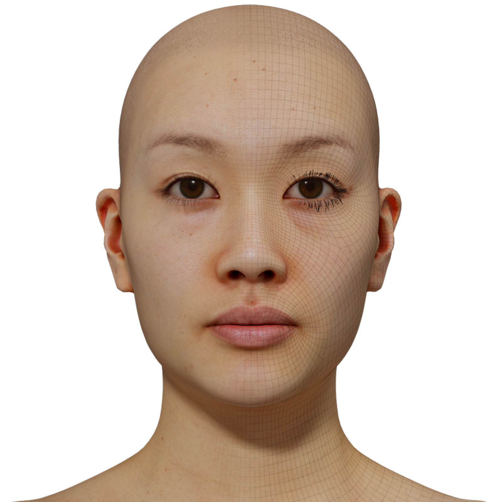 Female 3D Model Retopologised Head Scan 40 female-3d-model-retopologised-head-scan-40